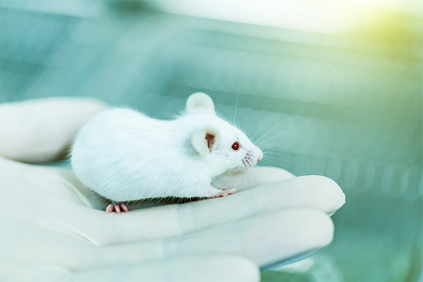 Alternatives Research - American Anti-Vivisection Society