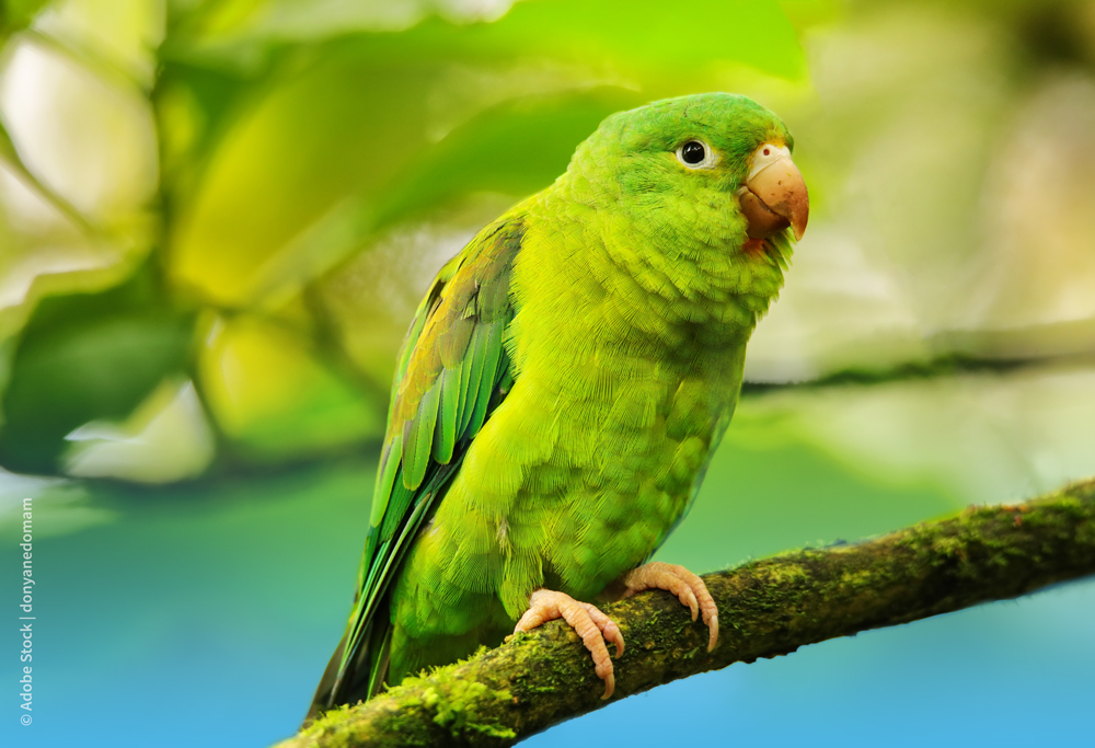 Animal protection groups sue federal government for failure to protect ...