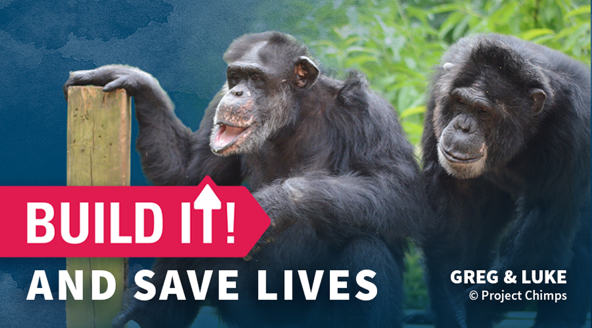 Help Chimpanzees Get Out of the Lab! - American Anti-Vivisection Society