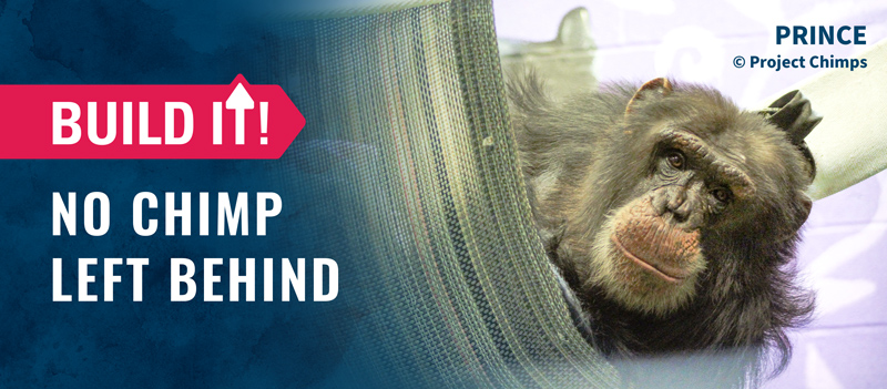We Know This Works! Save Chimps Today - American Anti-Vivisection Society